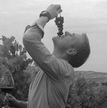 Welcome to the world of Wine Pilots – Winepilot.com