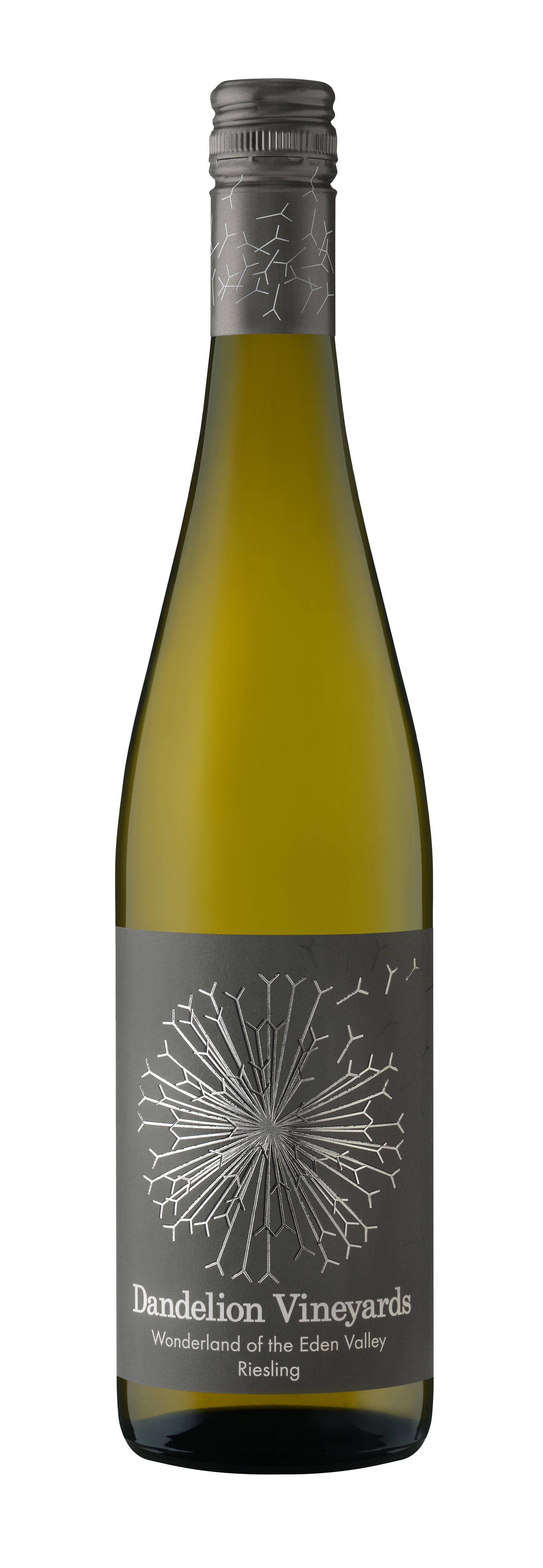 Nightfall Draco Cabernet Sauvignon 2019 – Winepilot.com