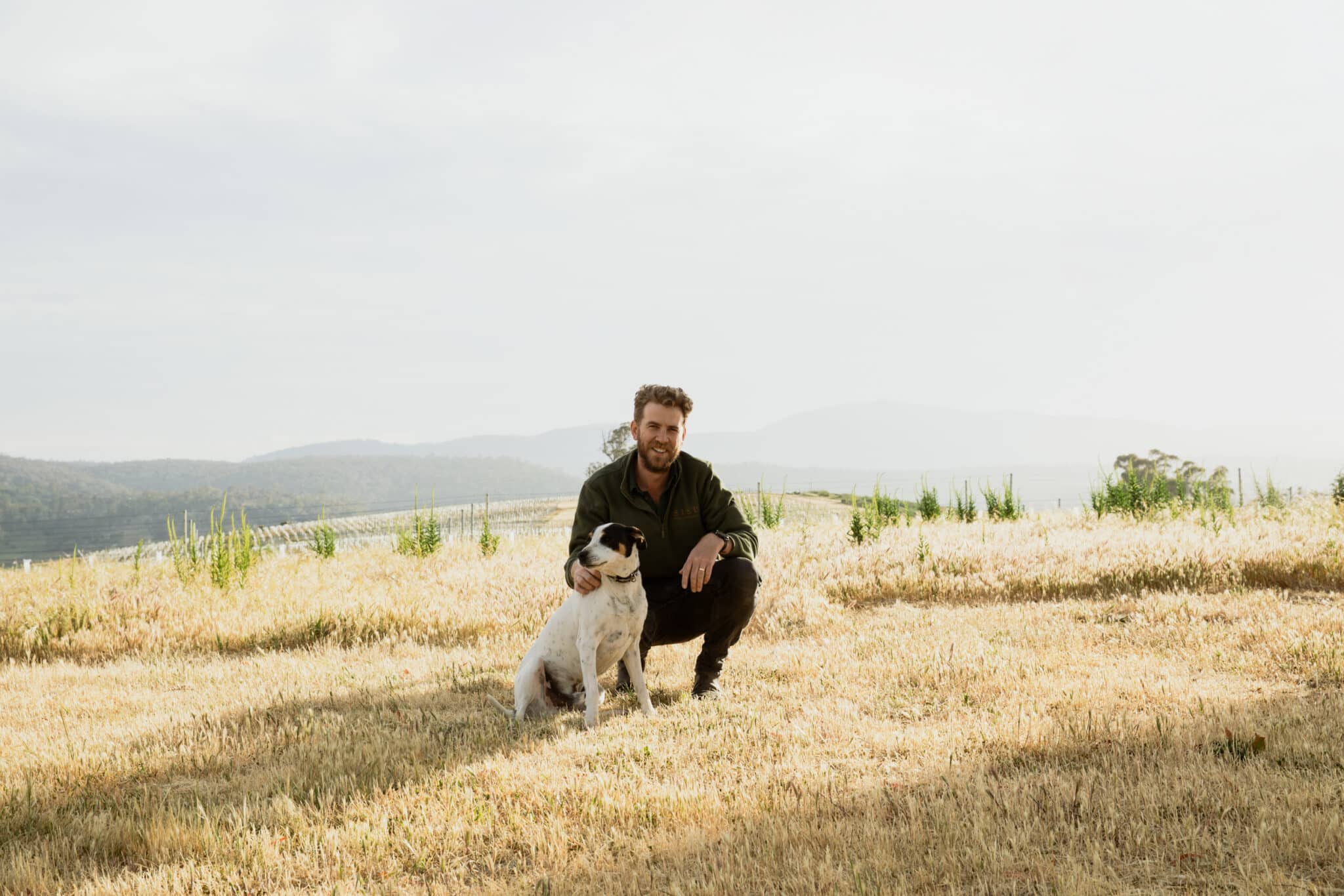 Sisu: Planting Grit and Grapes in the Coal River Valley – Winepilot.com